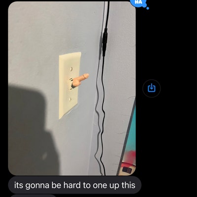 Set of 2 Novelty Light Switch Caps Penis With Balls Prank - Etsy