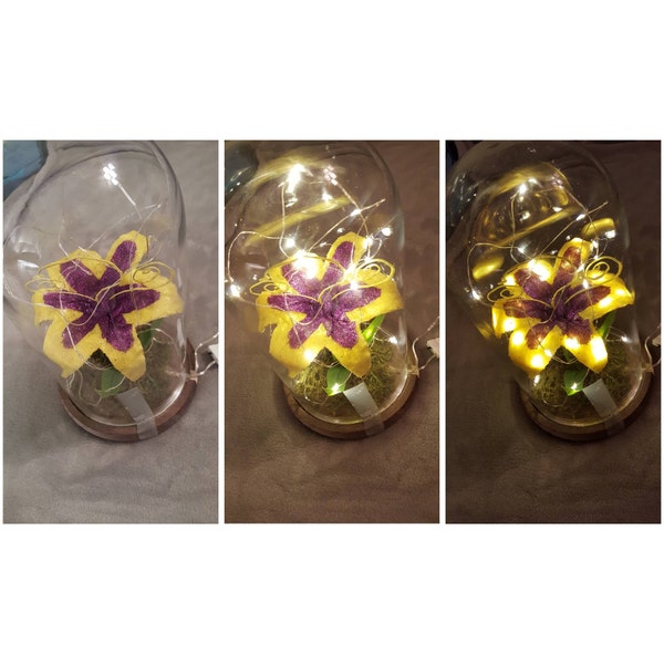 Tangled Flower Rapunzel Flower Tangled Magic Golden Flower Tangled ...