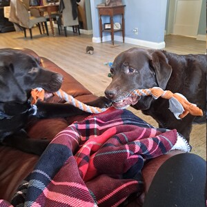 Large Dog Toy With a Tennis Ball in the Center by Boss Dog | Etsy