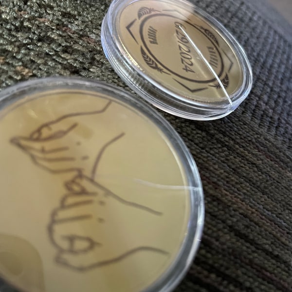 Custom Name Coin,personalized Coin,custom Flip Coin,decision Making ...