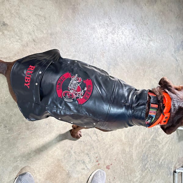 CUSTOM Dog Motorcycle Jacket | Biker Dog Jacket | Embroidered ...