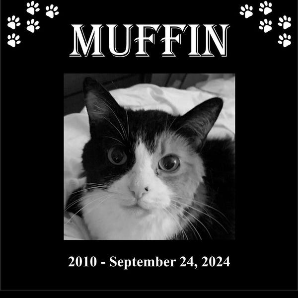 12"x6" Pet Headstone, Tombstone Laser Engraved on the Grave Marker, Pet ...