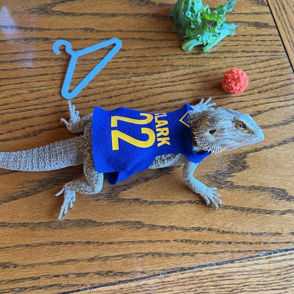 Basketball Jersey for Bearded Dragon Costume Sports Jersey for Reptile ...
