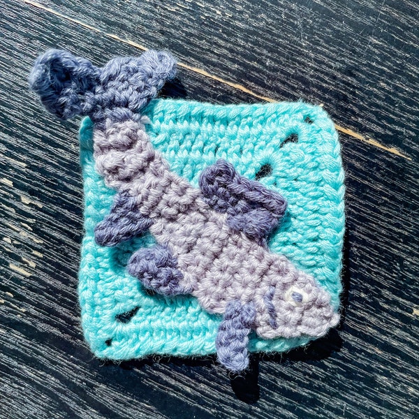 Cabin - Applique - Crochet Pattern - Etsy