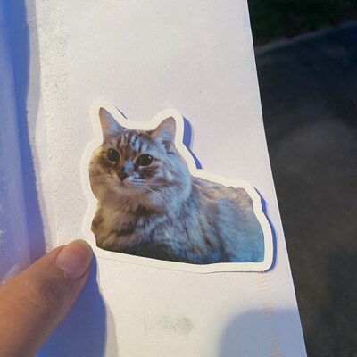 Custom Pet Sticker, Animal Sticker, Personal Sticker, Photo Pet Sticker ...