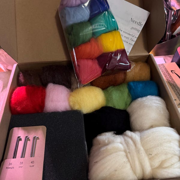 Needle Felting Starter Kit, Beginner Needle Felting Kit - Etsy