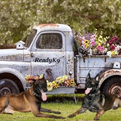 Spring Vintage Pickup Truck With Spring Blooms, Vintage Pickup Truck ...