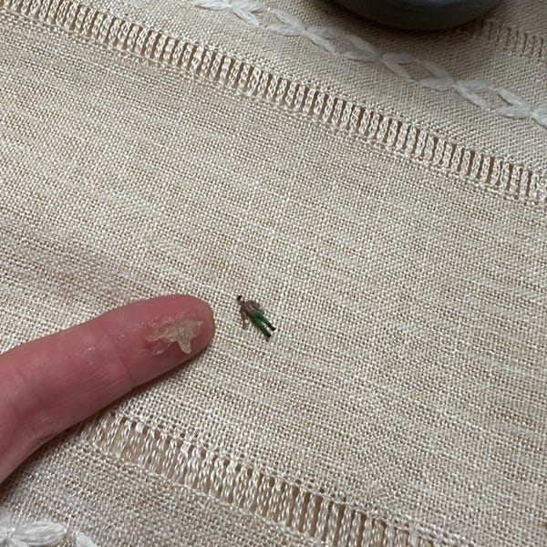 CUSTOM VIP Lanyards Broadway Playbill Concert Concerts Souvenir Fake ...