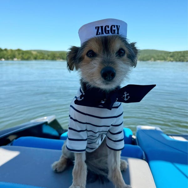 Korean Gat Hat, Korean Traditional Headpiece, Beads Chains, Cute Hanbok ...