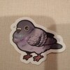 Fluffy Pigeon Sticker / Bird Water Bottle Sticker / Cute Bird Laptop ...