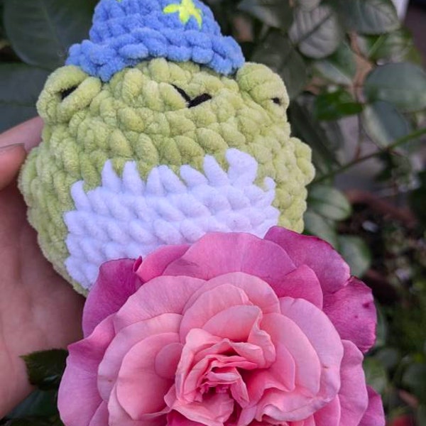 Graduation Froggie - Etsy UK