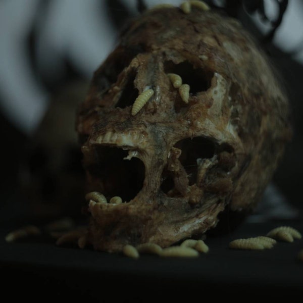 Mini Fake Blood Pathology Specimen Glass Vials. Arts, Crafts Forensic ...