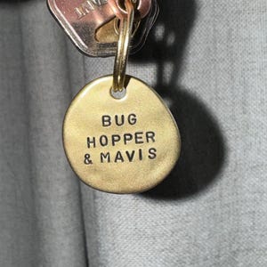 NICO Small: Luxury Hand Stamped Personalized Custom Pet ID Tags for ...