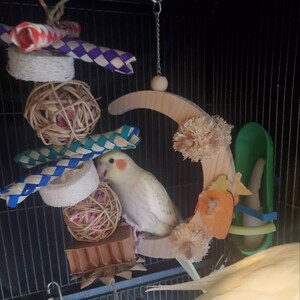 Quirky Corky by Cheep Thrills Bird Toys - Etsy