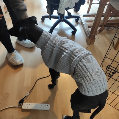 Dogosaurus Rex Dog Coat Knitting Pattern in 5 Sizes - Etsy