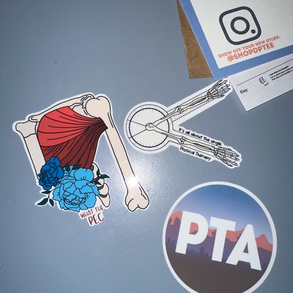 DPT Doctor of Physical Therapy Sticker, Physical Therapist Sticker, SPT ...