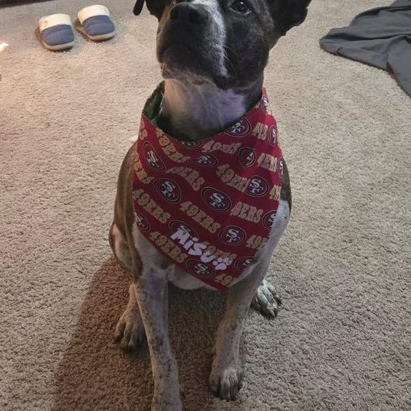 Cincinnati Reds Bandana / Cincinnati Reds / Dog Cat Bandana / Pet ...