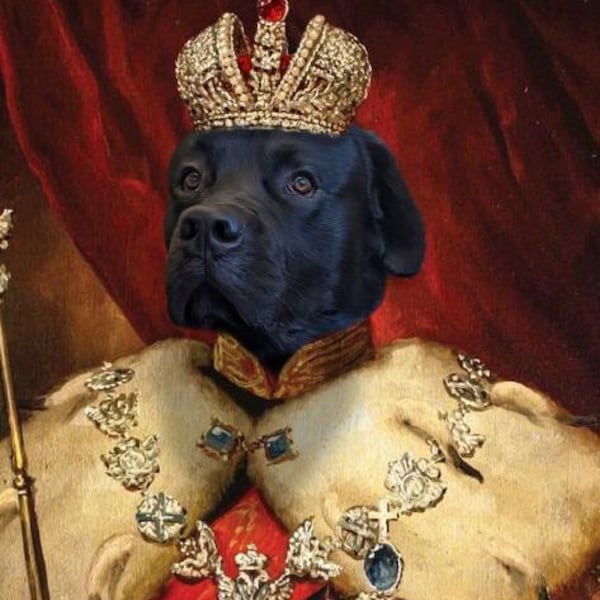 The Prince, Regal, Custom Dog Portrait, Pet Painting, Pet Portrait ...