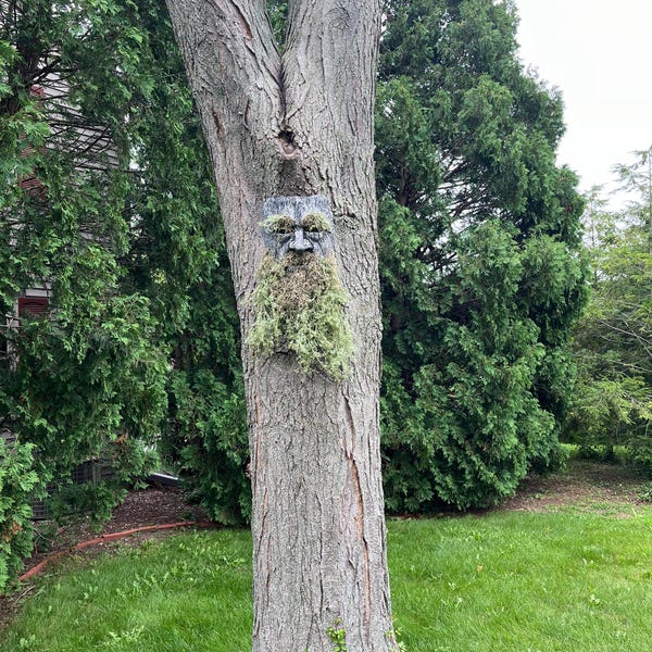 Tree Man Face - Etsy