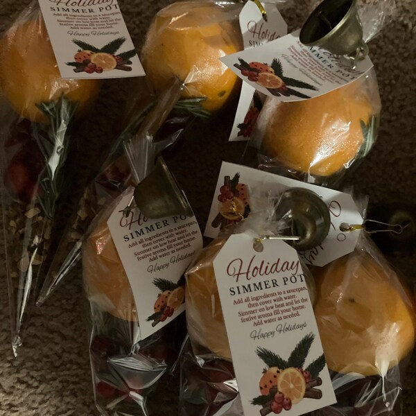 Full House Victorian Home Digital Print | San Francisco Art | 90s TV ...