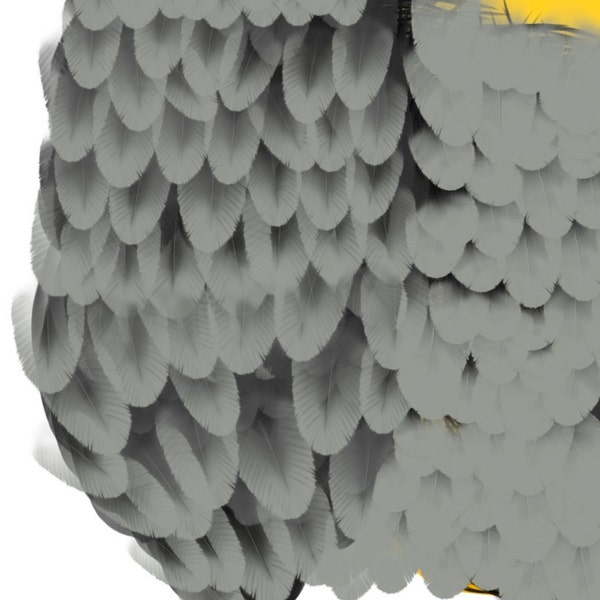 50 Procreate Feather Brushes | Procreate Bird Feather Brush | Procreate ...