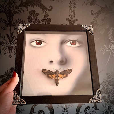 Alpine Black Swallowtail Spring Form Butterfly Frame - Etsy