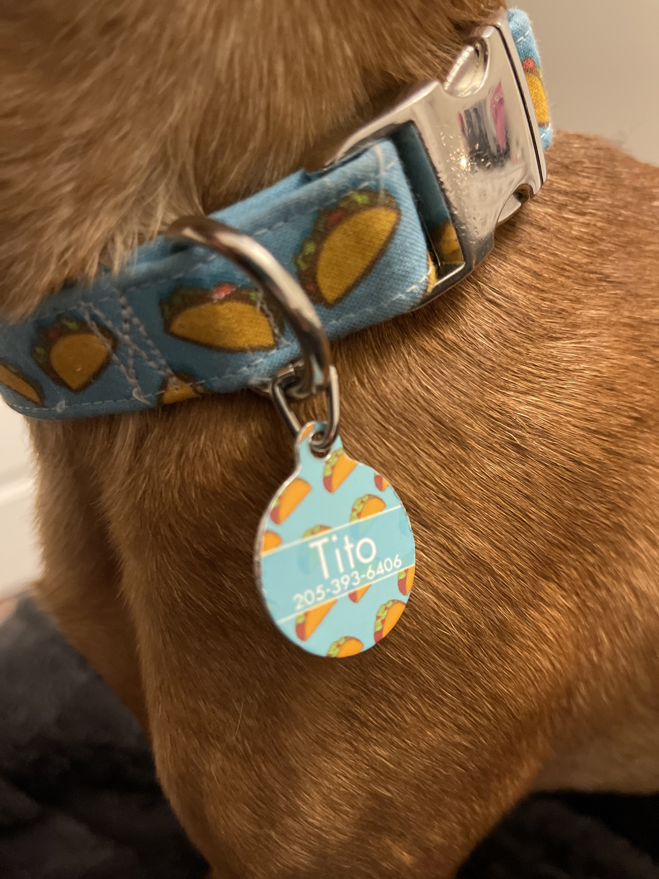 Taco Dog Tag, Double Sided Dog Tag, Taco Cat Tag, Blue Dog Tag, Funny ...