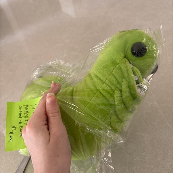 The Official BUNCHIES© Plushie! - Etsy