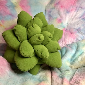 Succulent Pillow Sewing Pattern - Etsy