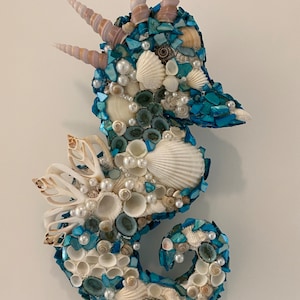 Pearl Turbo Setosus Shell 1 3/4 2 1/4 Opening 1 - Etsy