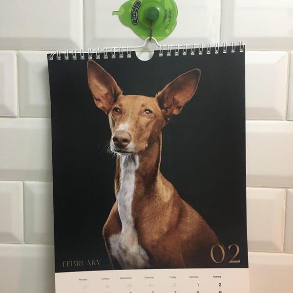 Xolo Calendar 2025, Xoloitzcuintle Gifts, Unique Dog Calendar, Hairless ...