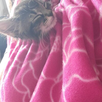 Ratoob, Dark Gray - Etsy