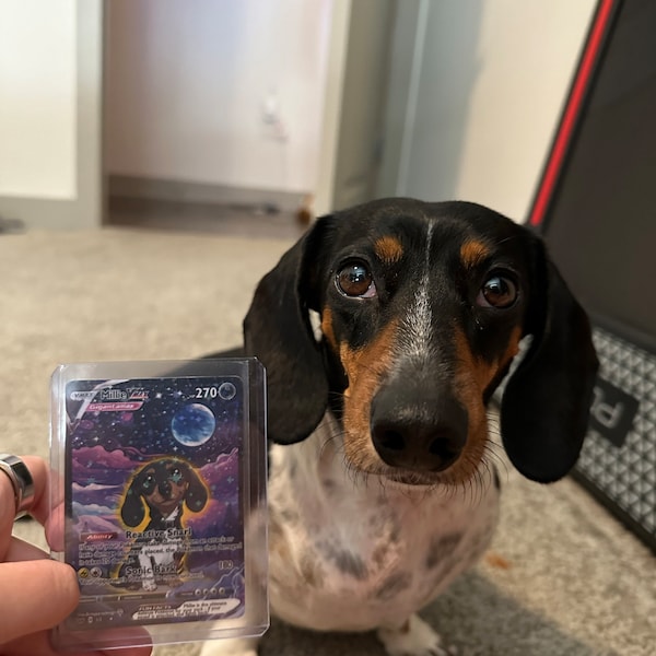 Custom Pokemon Card, Pet as Pokemon , Pokemon Card, Turn Your Pet Into ...