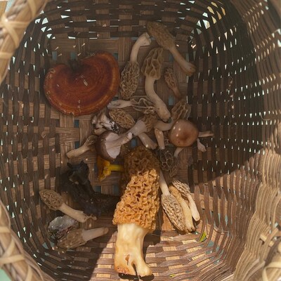 Ribbed Hearth Basket Flower Herb Basket - Etsy