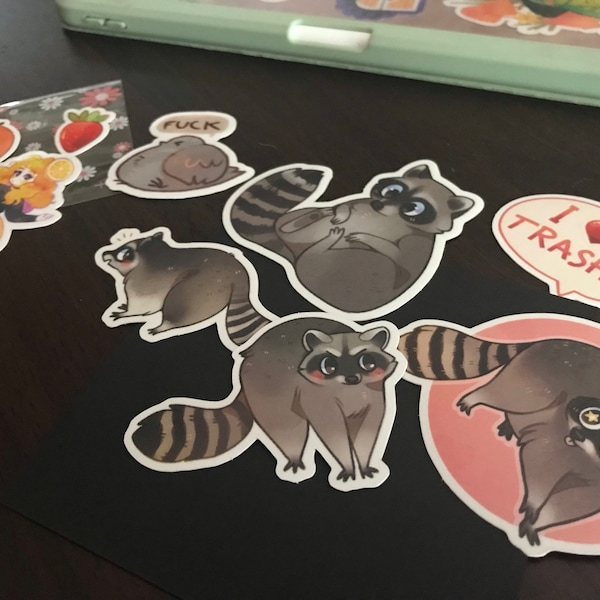 Cute Raccoons Sticker Set - Etsy