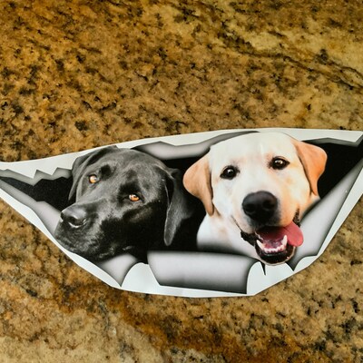 Labrador Decal, Pet Decal Lab Decal, Labrador Retriever Decal, Vinyl ...