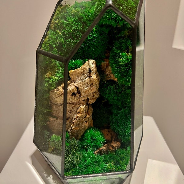Geometric Terrarium | Prism | Desktop Mossarium Centrepiece | Preserved ...