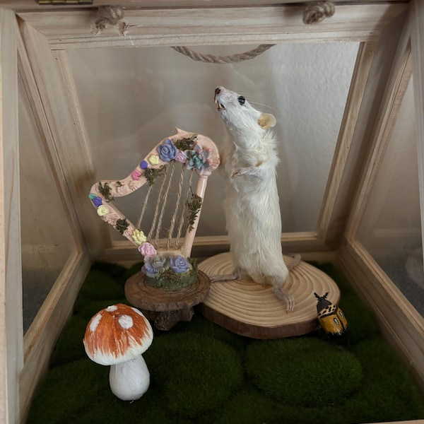 Do It Yourself Rat Taxidermy Kit With Real Rat Skin - Etsy
