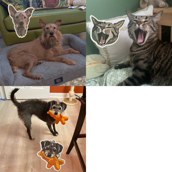 Mare Horse Sticker Set, Laptop Sticker, Gifts for Horse Lovers, Gift ...