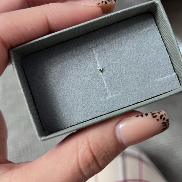 Large Septum Ring, Big Septum, 14k Gold Septum, Solid Gold Septum ...