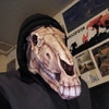 Homo Naledi Skull Replica of DH1 Find, Prehistoric Fossil Collection ...