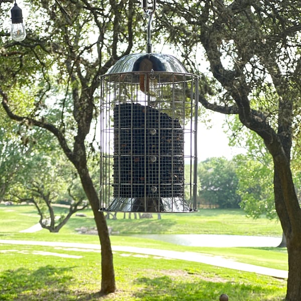 Squirrel Proof, LARGE BIRD STOPPER, Bird Feeder for Songbirds - Etsy