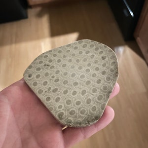 Detroit Fordite Raw Blanks for Artisans and Jewelry Makers - Etsy