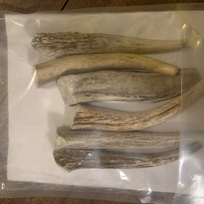 6 Pack-small Deer Antler for Dogs, All Natural Dog Chew Grade A ...