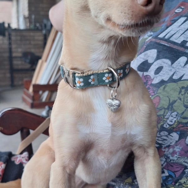 UGLY Bells for Pet Collar Chipped Jingle Bell for Cat Collar Character ...