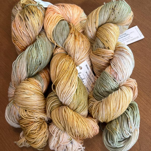 Wren Field of Flowers, Hand Dyed Yarn, Worsted Weight, Superwash Merino ...