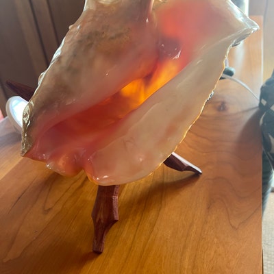 Bahamian Queen Conch Shell Light I Pink Conch Shell Night Light I SLIT ...