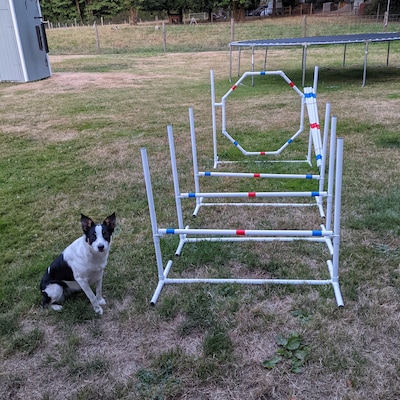 Dog Agility Equipment Weave Pole Guide Wires for 12 Weave Poles 10 ...