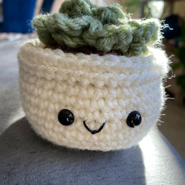 PATTERN: Crochet Pothos Hanging Plant - Etsy