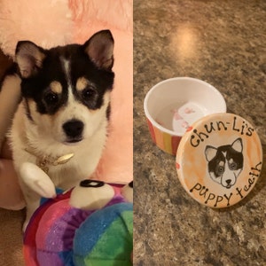New Puppy Tooth Box / Puppy Teeth Box / Custom Pet Gift / Personalized ...